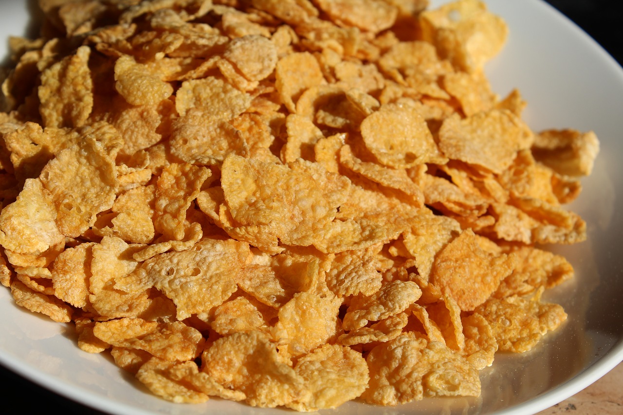 VIC DANA: Corn Flakes puzzle - Glas Regije